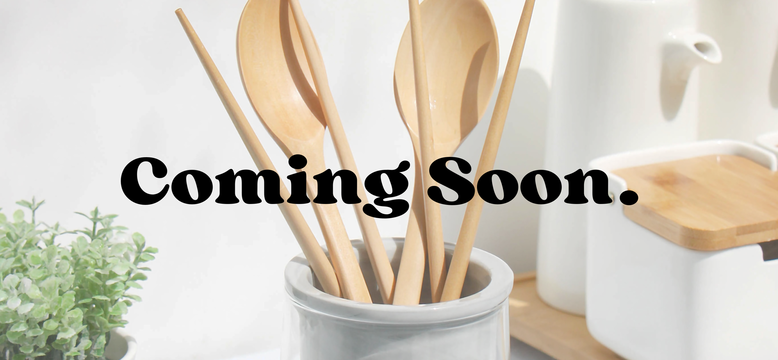 Housewares – WATERED J. ROSE